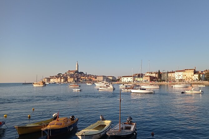 Vrsar, Lim Fjord and Rovinj Day Tour by Boat with Drinks - Authentic Experiences and Travelers’ Feedback