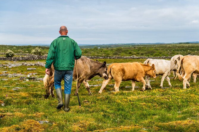 Walking in the Burren with perfumery visit. Clare. Guided 3 hours - FAQ