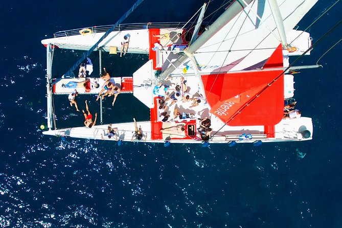 Whale Watching and Listening Eco Catamaran Tour with Food Tasting - FAQ: Your Questions Answered