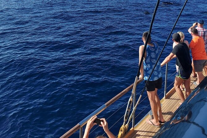 Whale Watching Catamaran to Los Gigantes & Masca (Including drinks & warm lunch) - Final Thoughts: Is It Worth It?