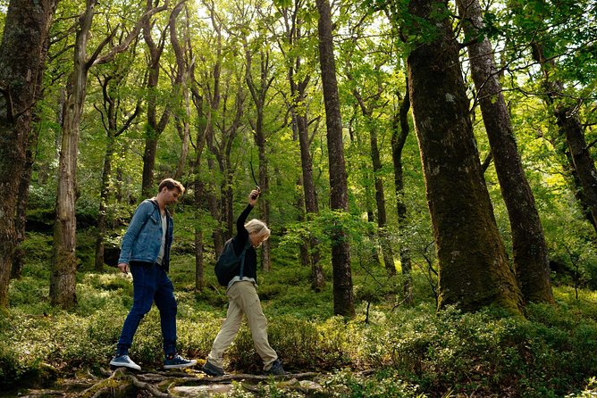 Wicklow Mountains Private Day Trip from Dublin - FAQ