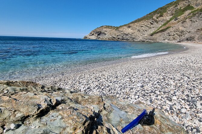 Wild Beaches & Snorkeling Tour - The Sum Up