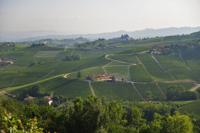 Wine & Chocolate Tour and Tasting in Alba area - Who Will Love This Tour?