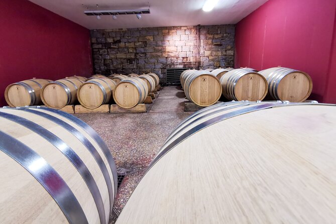 Wine Degustation in the Heart of Slovenian Istria - Who Would Love This Tour?