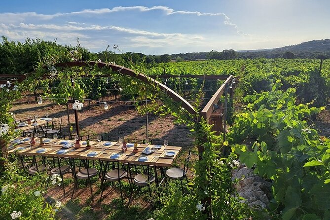 Wine Experience: vineyard, wines and food - Practical Details and Value