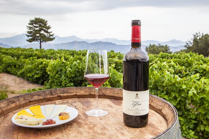 Wine & Food Tasting on Etna's Winery Private Tour - Who Should Consider This Tour?