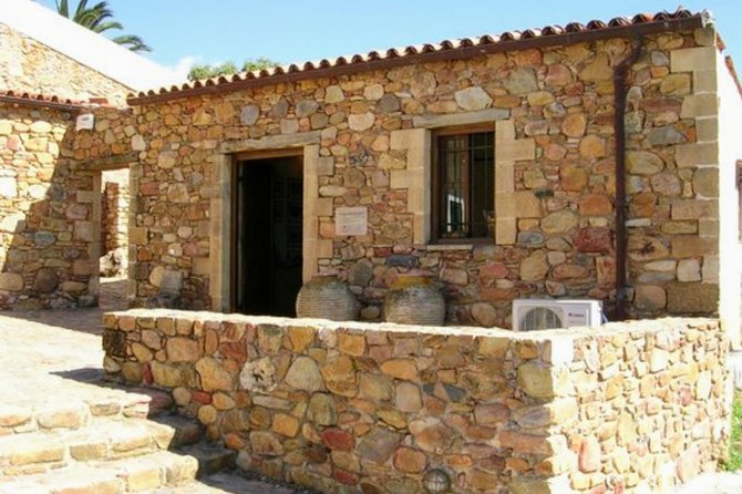 Wine & Olive Oil tasting one day private tour in Crete - Final Thoughts