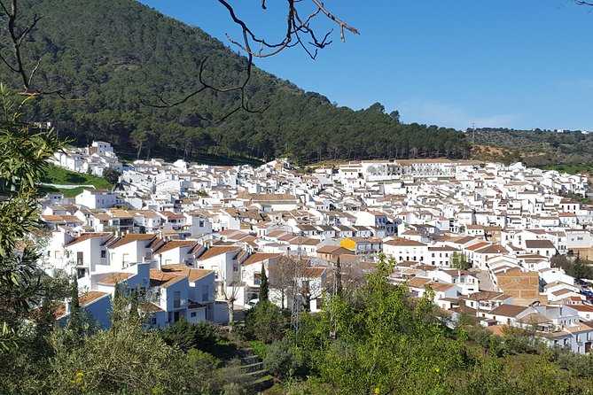 Wine & Tapas tour by electric bike (e-bike) including Ronda pickup (full day) - The Authentic Experience: What Travelers Are Saying