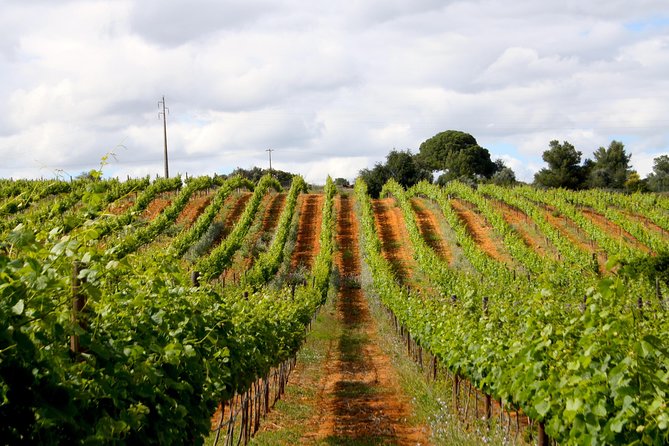 Wine Tasting and Art Tour - Frequently Asked Questions