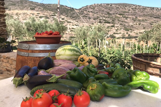 Wine Tasting and Tour in Saint Anna Winery in Naxos - Who Would Enjoy This Tour?