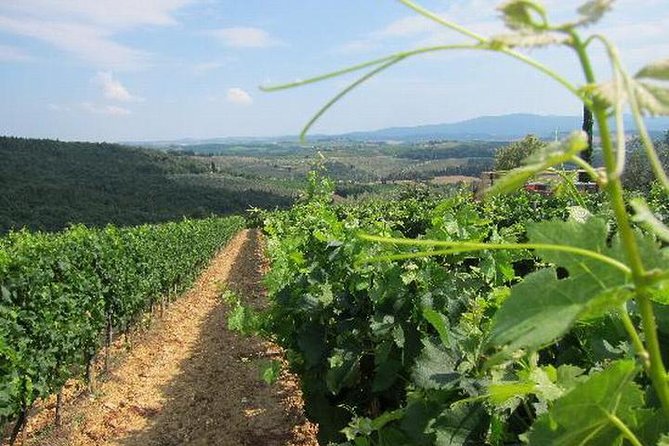 Wine tasting in Chianti, visiting Castellina, in Tuscany from Rome - Authentic Tuscan Flavors and Food