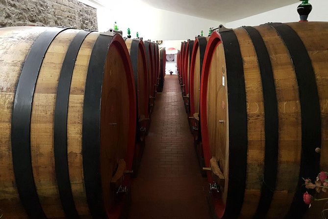 Wine tasting in Montepulciano and visit to Pienza, in Tuscany from Rome - Who Will Love This Tour?