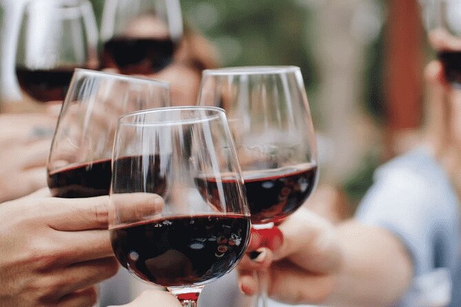 Wine tasting in the Collio wine area, guided tour of Cividale. - Practical Details & What to Expect