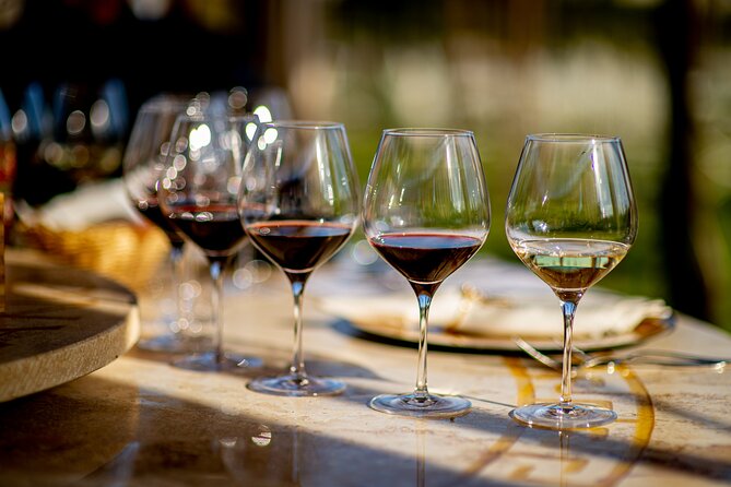 Wine Tasting & Shuttle Service - Practical Details and Logistics
