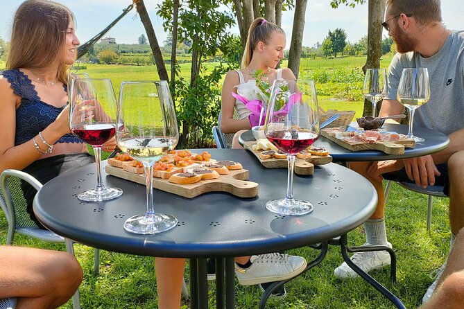 Wine Tasting with Local Food in Lazise Countryside - Who’s This Tour Best For?
