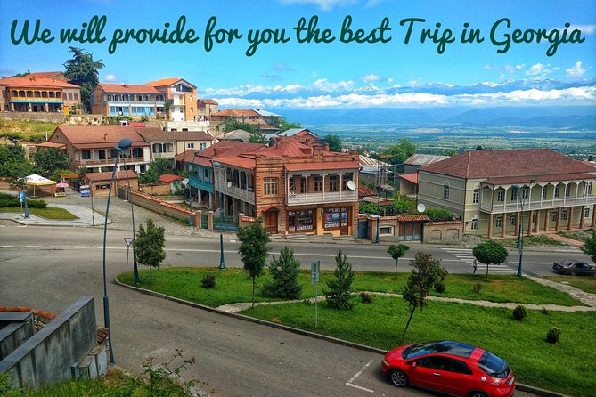 Wine Tour in Kakheti, Telavi town, Georgia - Practical Tips for Participants