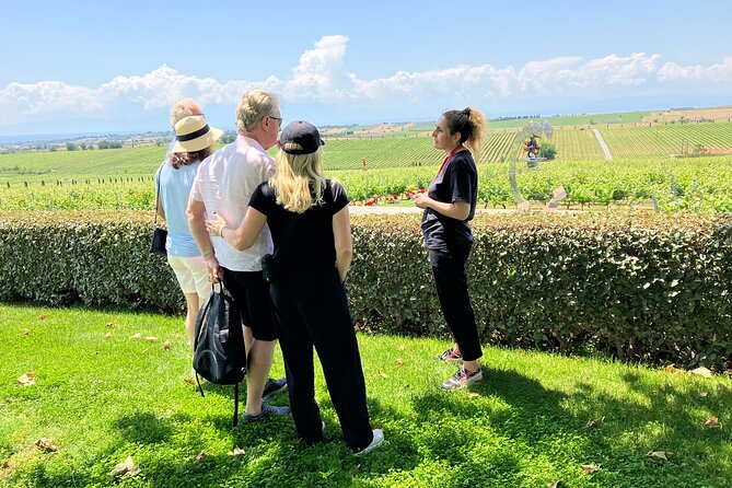 Wine Touring a Step Away from the city - Transportation and Logistics