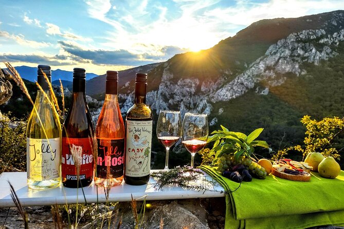 Wine trip with The Jolly Vintners near Sofia - The Sum Up: Who Will Love This Tour?