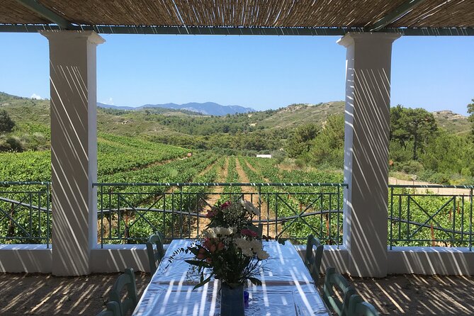 Winery Tour, Tasting and cooking with the Winemaker in Rhodes - Frequently Asked Questions