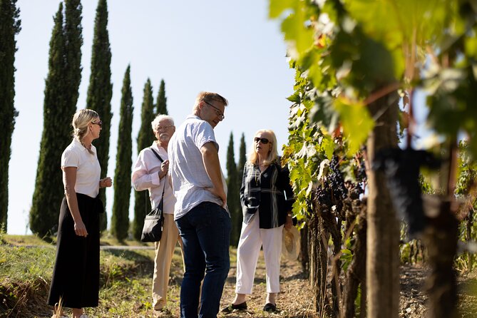 Winery tour & wine tasting in Montalcino - FAQ