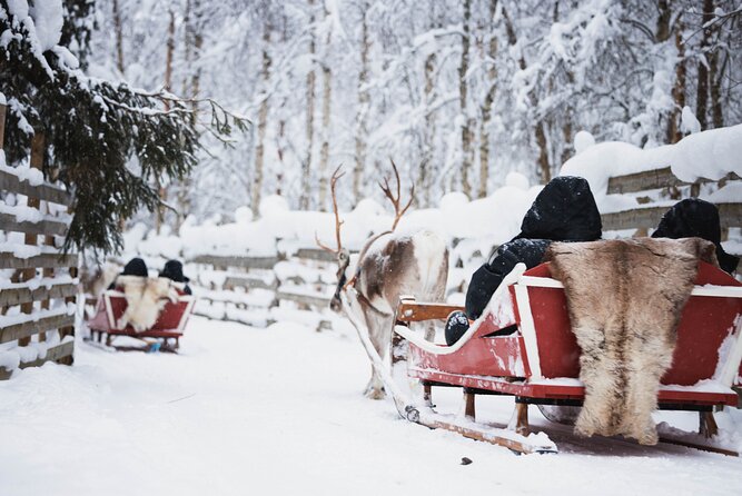 Winter highlights: Snowmobile, Arctic Animals And Santa`s Village - The Sum Up