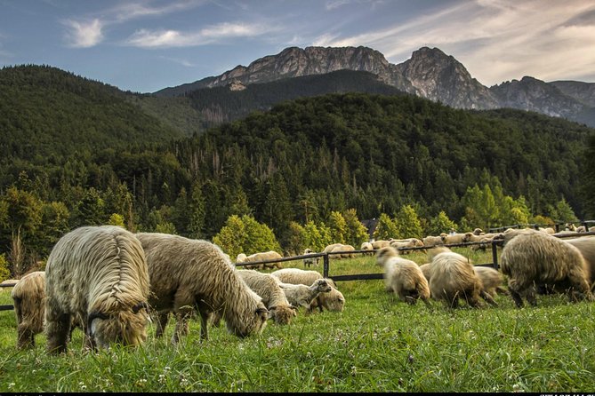 Zakopane & Thermal Springs: Private Tour - FAQ