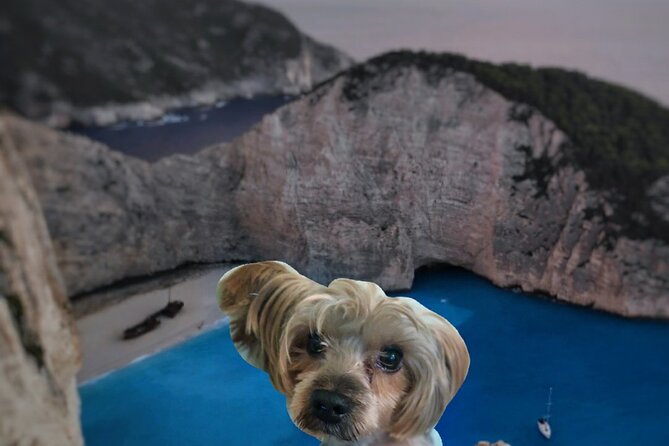Zakynthos Small Group Tour Shipwreck bay Blue Caves by Land & Sea - The Sum Up
