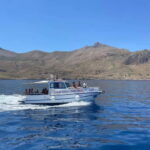 4h da san vito lo capo: tour dello Zingaro fino a Scopello - What’s Included and What to Bring