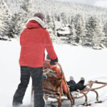 4hr Dog Sledding Trip on Finnmarksvidda - What You’ll Receive Before Heading Out
