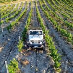 4x4 Jeep Vineyard Safari Tour with Lunch and Wine Tasting - How to Make the Most of It