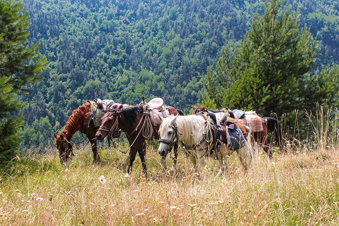 5-Day Horse Riding Tour in Caucasus - Exploring the 5-Day Horse Riding Tour in Caucasus