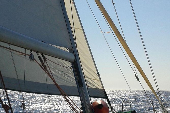 5 hours from Sithonia: Sailing trip secluded coves & Islands - The Overall Experience and Who Should Consider It