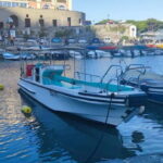 5 TERRE PRIVATE BOAT TOUR WITH SKIPPER - Discovering the Villages: A Mix of Views and Visits