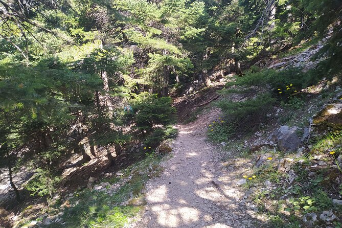 1 Day Parnitha Athens Private Hiking Tour with Hotel Pickup - Who Is This Tour Best For?