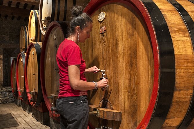 1-Hour Experience with Brunello. Visit to the Vineyard and Cellar - Final Thoughts