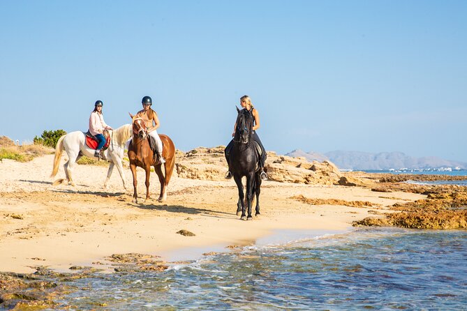 3-Hour Beach Horse Riding to Discover the Beauty of Alcudia Bay - FAQ
