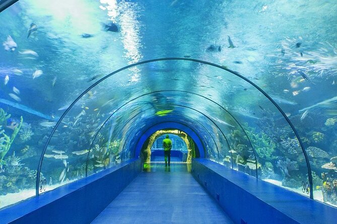 4-Hour Guided Antalya Aquarium Tour - Who Should Consider This Tour?