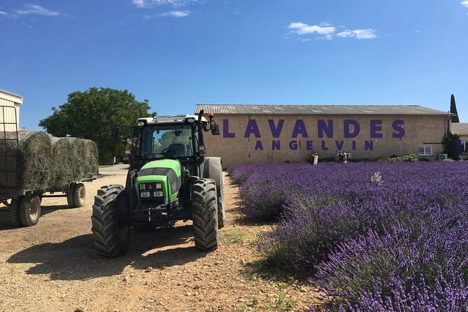 4-Hour Lavender Fields Tour in Valensole from Aix-en-Provence - Authenticity and what travelers truly gain
