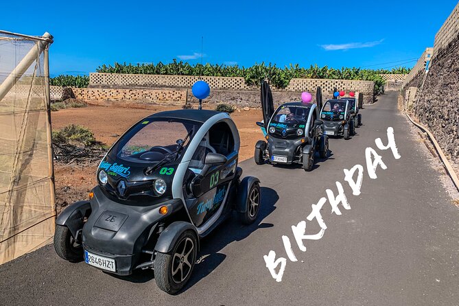 4 Hours Eco Safari Tour with Electric Car in Tenerife - Summing It Up