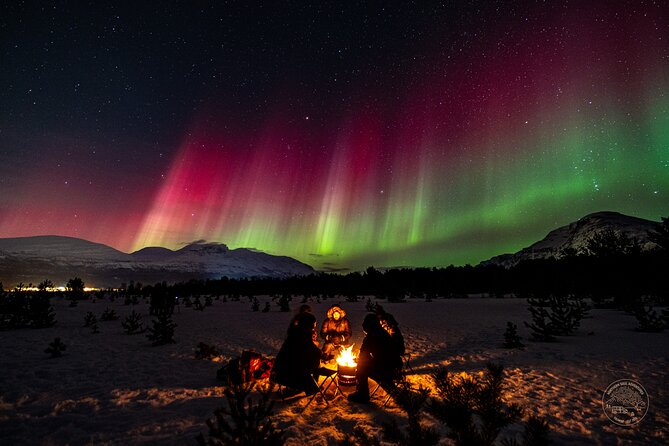 "a journey in search of the Northern Lights" | Private - The Sum Up: Is This Tour Worth It?