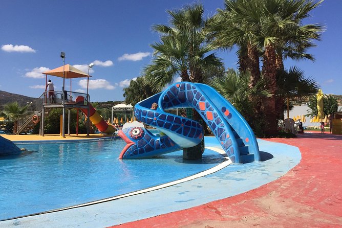 Acqua Plus Water Park Admission with Optional Transfer - Who This Tour Is Best For