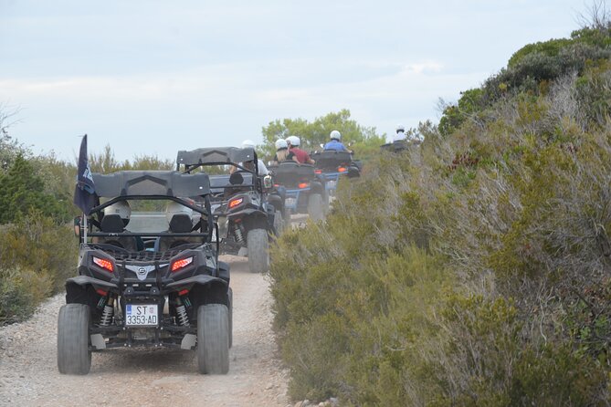 Adrenaline Quad Safari Tour - Who Is This Tour Best Suited For?