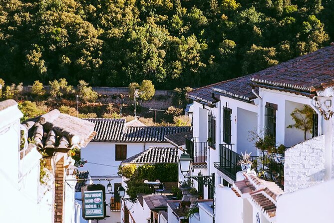 Albayzin and Sacromonte Guided Walking Tour in Granada - Frequently Asked Questions