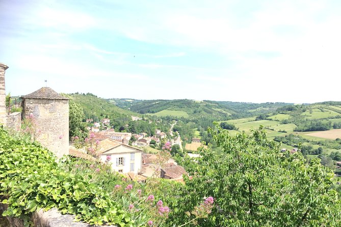 Albi and Cordes sur Ciel Private Day Tour from Toulouse - Price and Value