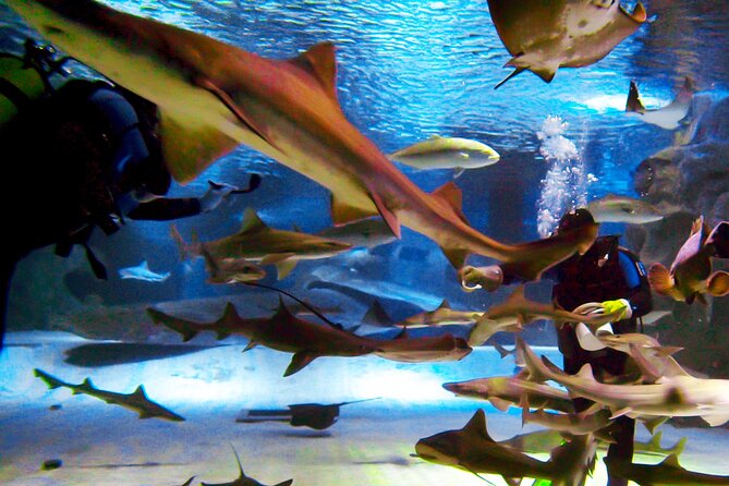 Alexander Waterfall and Antalya Aquarium Day Tour from Side - Frequently Asked Questions