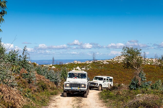 Algarve a la Carte - Final Thoughts