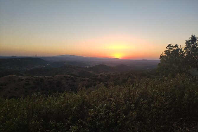 Algarve Sunset Safari Tour from Albufeira - Transportation and Group Size