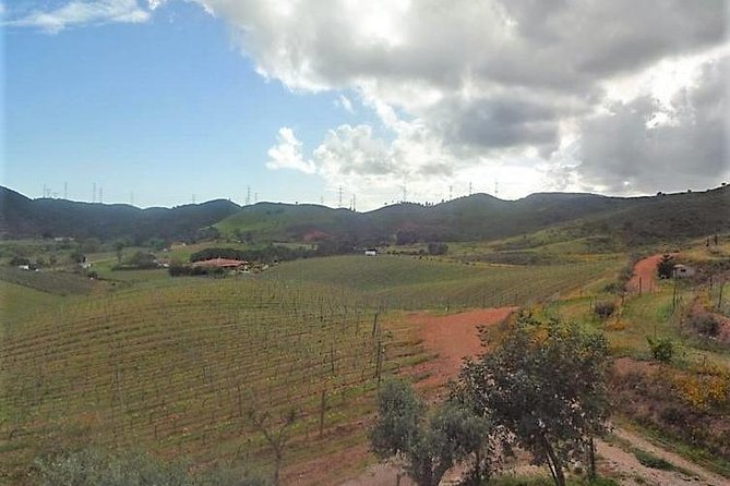 Algarve Wine Tour of Two Wine Estates - Frequently Asked Questions
