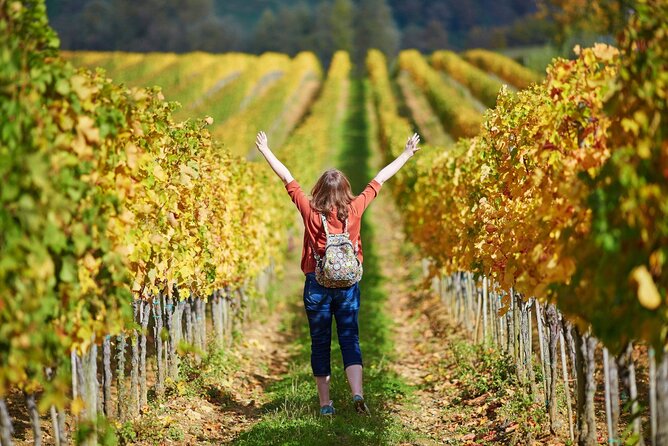 All Tuscany Private Siena San Gimignano & Chianti Livorno Shore Excursion - The Sum Up: Why Choose This Tour?