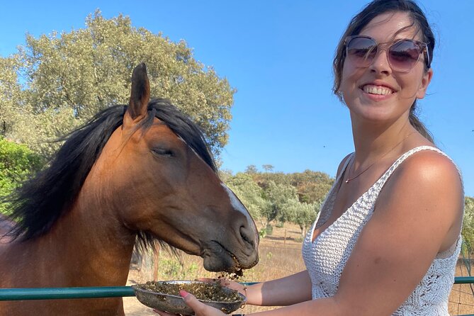 Alpaca Meet and Feed in Grândola - FAQ